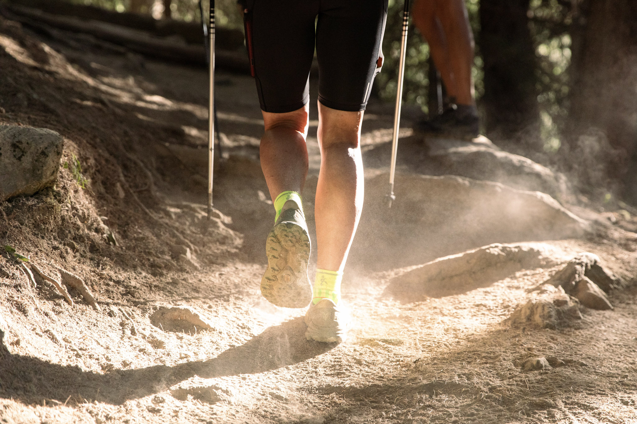 Choosing the Best Trail Running Shoes for the Alps - Run the Alps